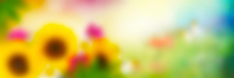 Free Download 12X36 Wedding Album Background HD (2020)