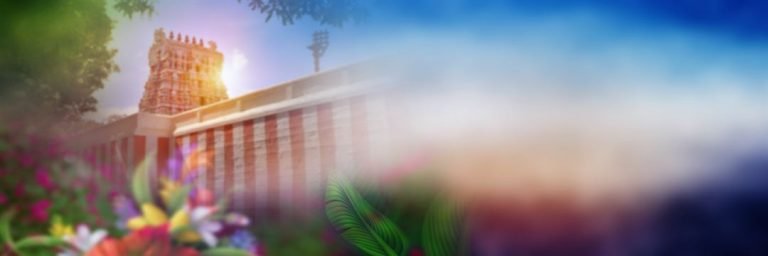 Album Design 12X36 PSD Wedding Background Free Download (2020)